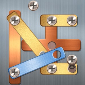 Screw Puzzle | Linh5 Games
